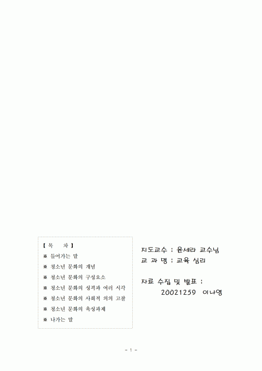 교육심리-청소년문화