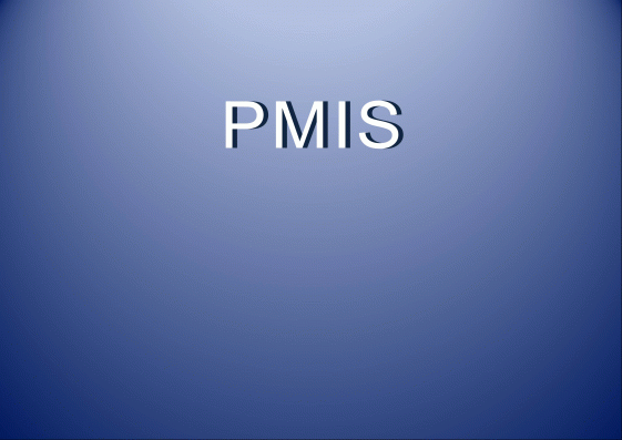pmis 발표 레포트 자료