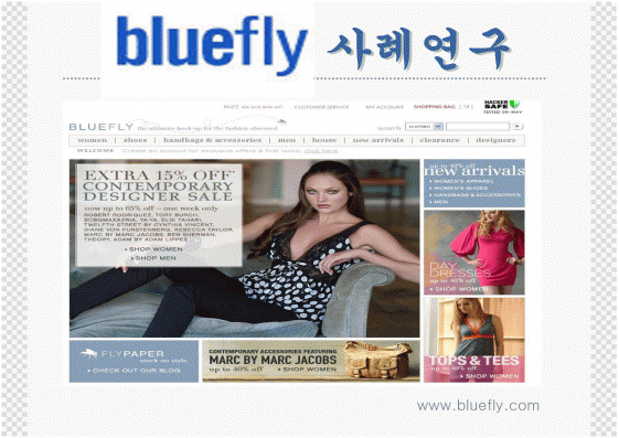 마케팅관련 blue fly 사례연구