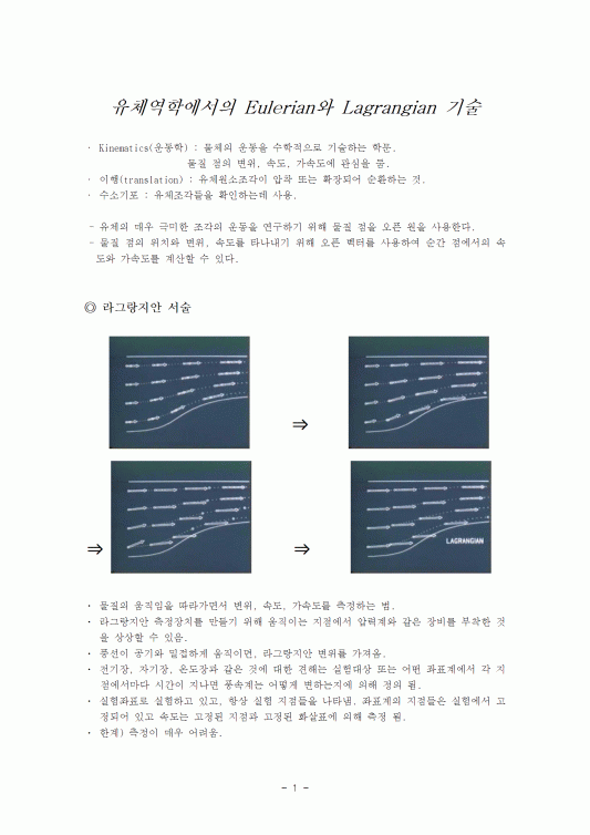 유체역학에서의 Eulerian와 Lagrangian 기술