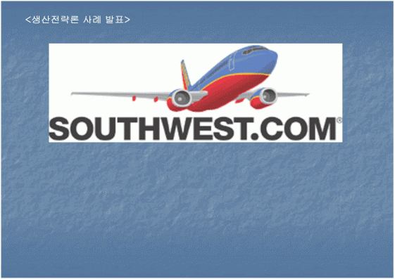 southwestairline 분석자료