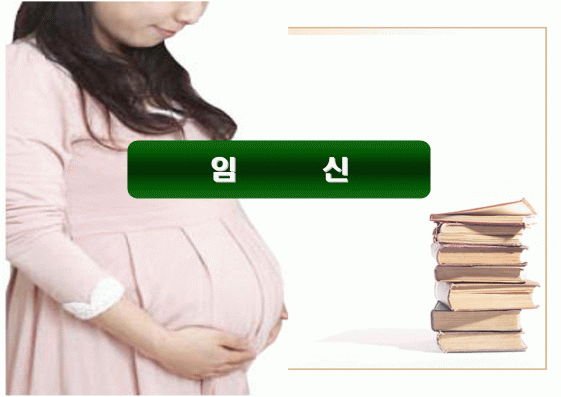 임신에 관한 정리