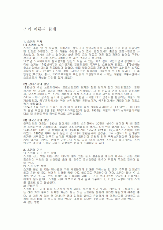 스키 이론과 실제