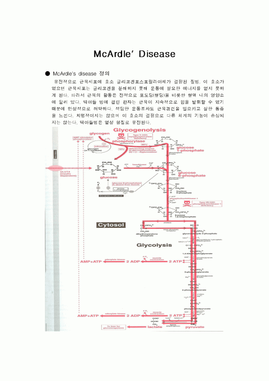 Mcardles Disease와 관련된 자료 입니다.