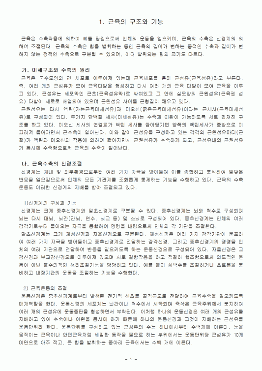 근육의 구조와 기능