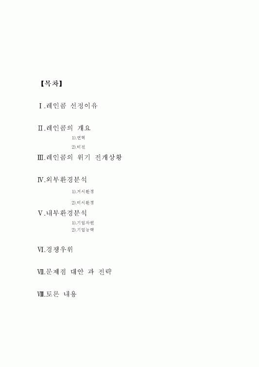 레인콤 경영전략분석과 문제점대안과 전략