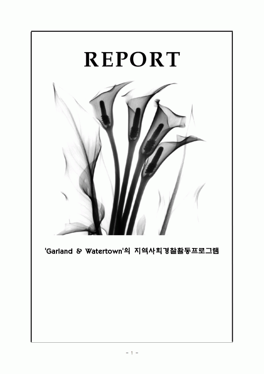 Garland & Watertown의 지역사회경찰활동프로그램