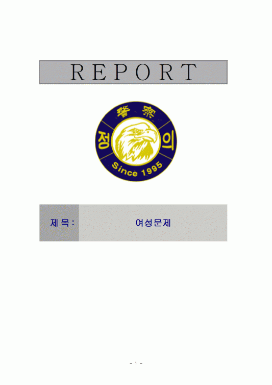 여성문제의 개념 및 현황과 원인