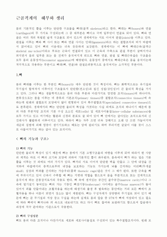 근골격계의 해부와 생리