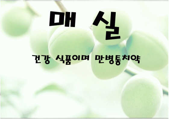 [식품학]매실에 대하여