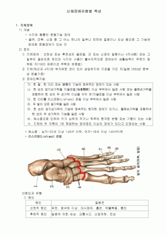 신체장애유형별 특성