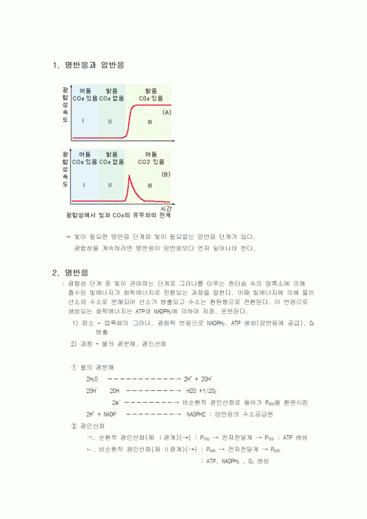 명반응과 암반응