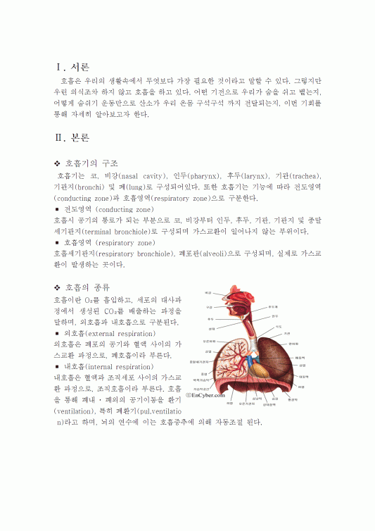 호흡기계 구조와 기능 호흡의 종류