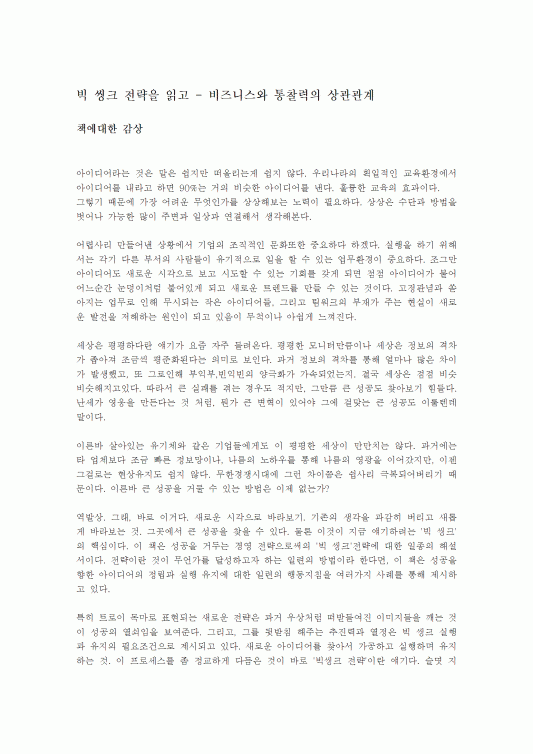 (독서감상문) 빅씽크전략을읽고