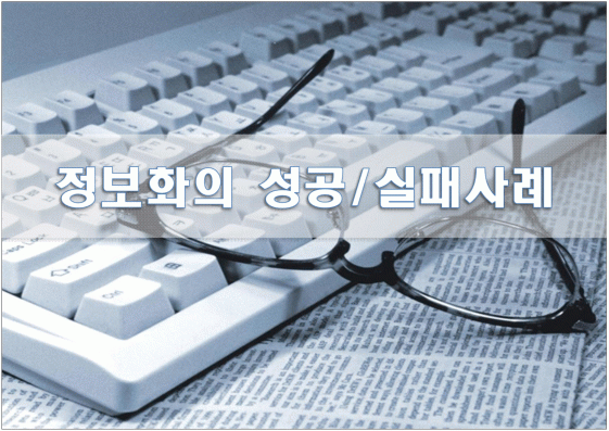 정보화의 성공사례와 실패사례
