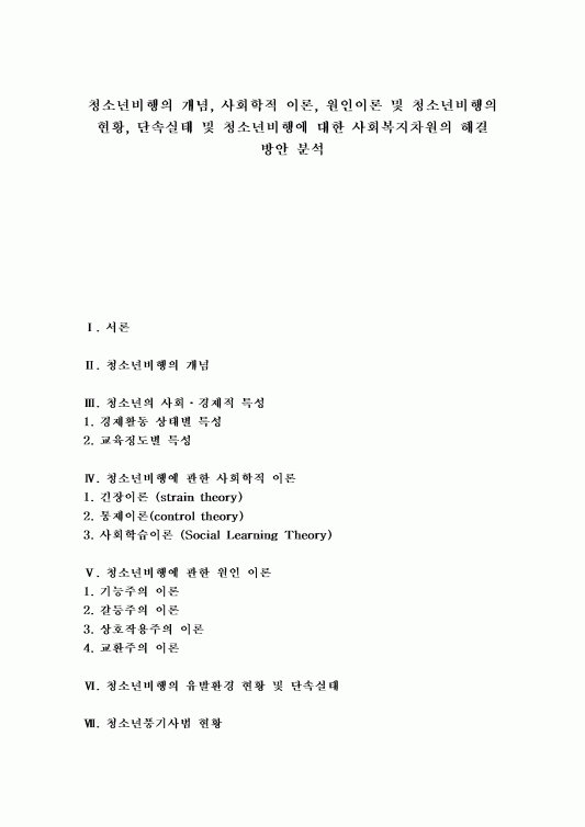 [청소년비행][비행청소년][청소년문제]청소년비행의 개념, 청소년비행의 사회학적 이론, 청소년비행의 원인이론, 청소년비행의 현황, 청소년비행의 단속실태, 청소년비행에 대한 사회복지차원의 해결 방안 분석