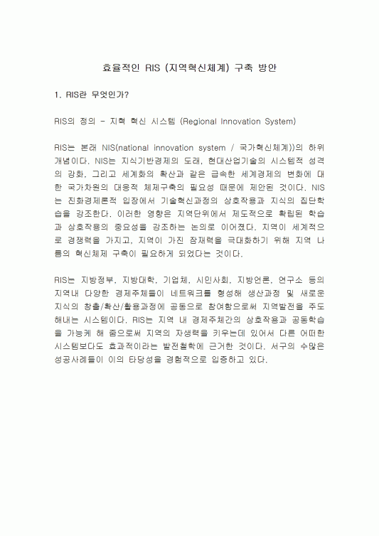 효율적인  RIS체계 구축방안