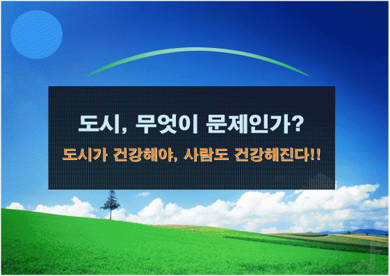 도시문제 레포트 자료