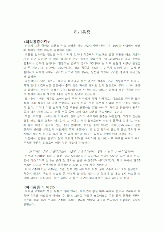 허리통증 레포트 자료
