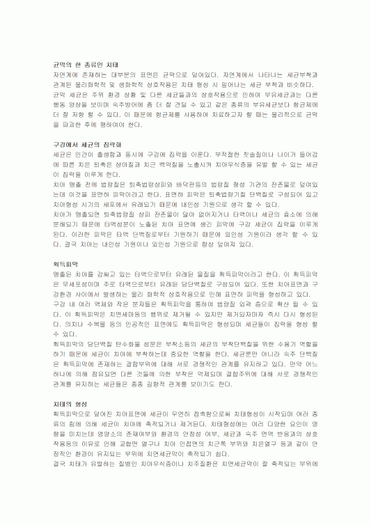 치면세균막 레포트 자료