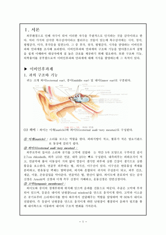 이비인후과와 안과계 기능과구조 관련용어
