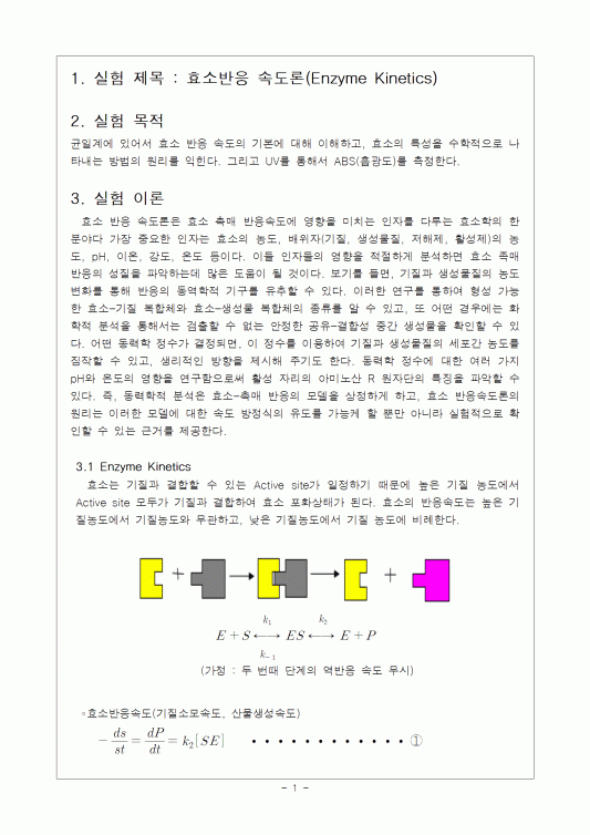 [실험보고서]효소반응속도론