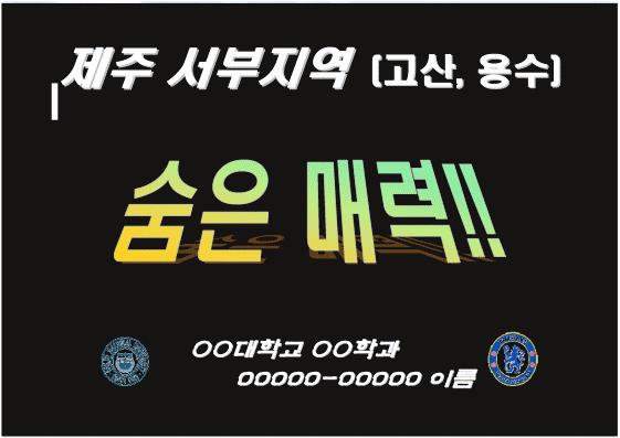 제주서부지역 관광홍보기획서