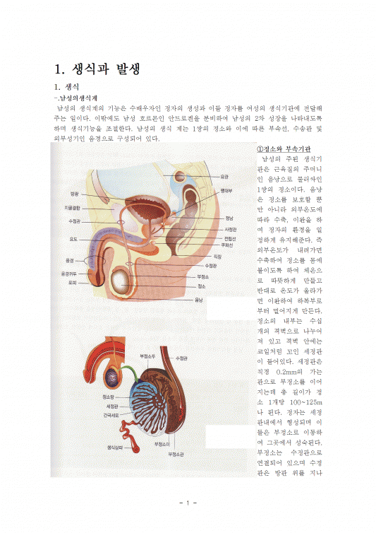 [자연과학] 생식과 발생
