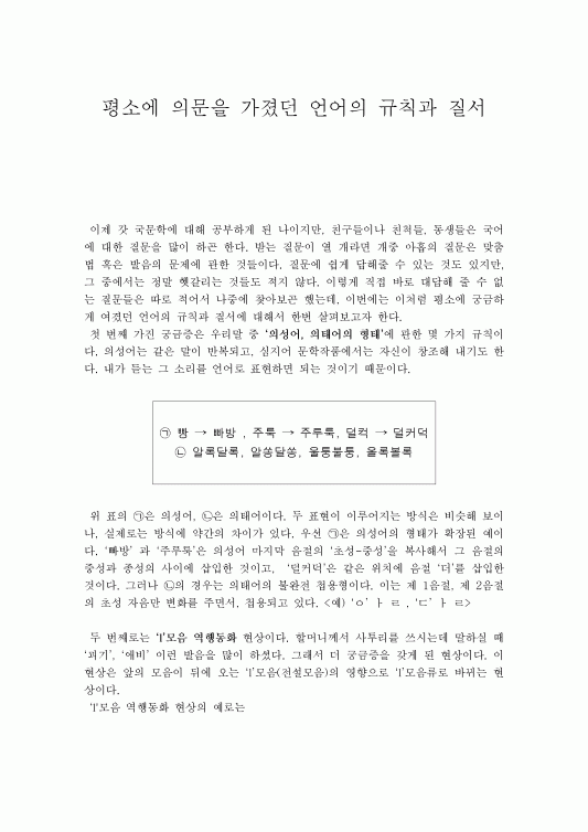 평소에 의문을 가졌던 언어의 규칙과 질서