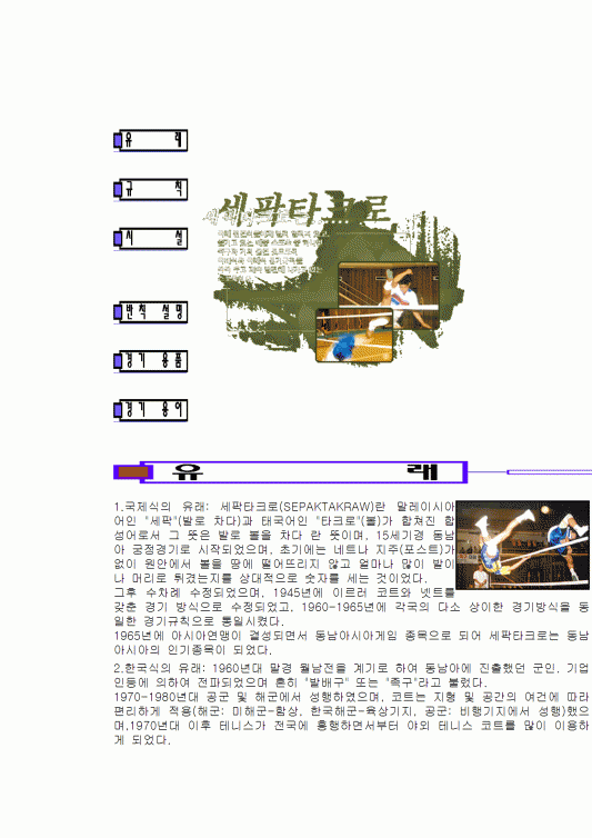 세팍타크로의 모든것 (유래, 역사, 규칙, 시설, 심판, 반칙, 용품, 용어)에 대해서 조사했습니다.