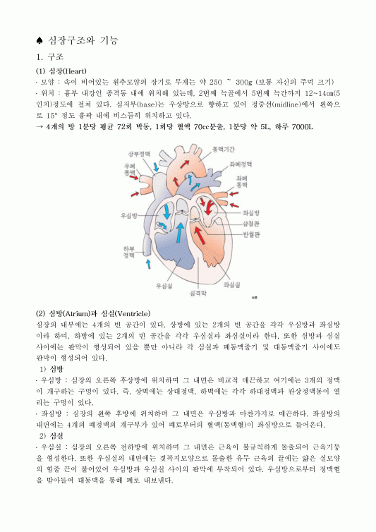 순환기계 REPORT