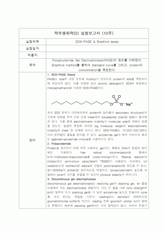 [생화학 실험] SDS-PAGE & Bradford assay