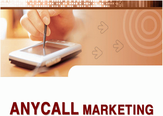 삼성전자 애니콜(ANYCALL)의 마케팅전략