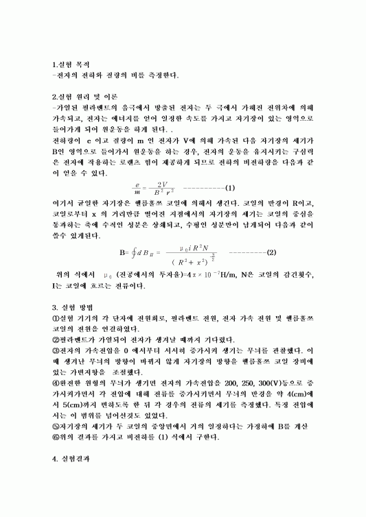 비전하측정 레포트 자료
