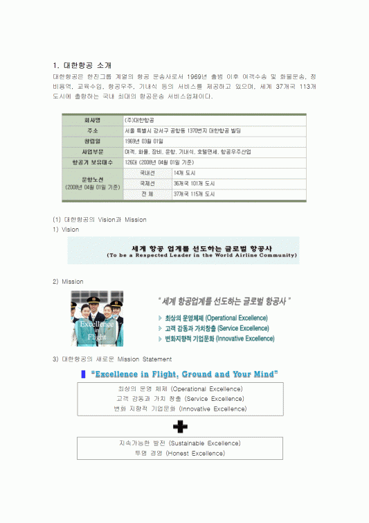 글로벌 항공사 대한항공의 인터넷 마케팅전략