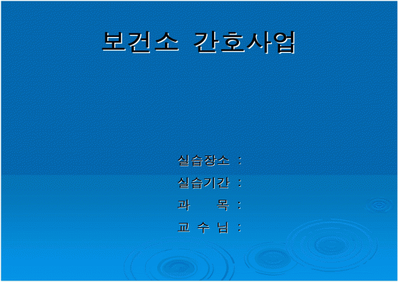 [간호학]보건소 간호사업