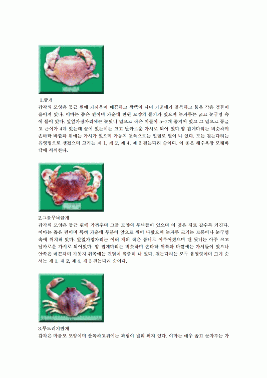 게의 종류와 그 특징