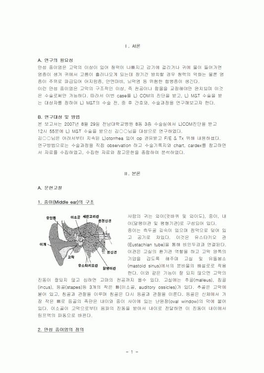 만성중이염 문헌고찰 (수술과정포함)