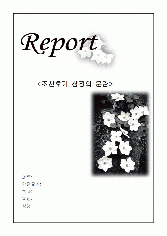 조선후기 삼정의 문란