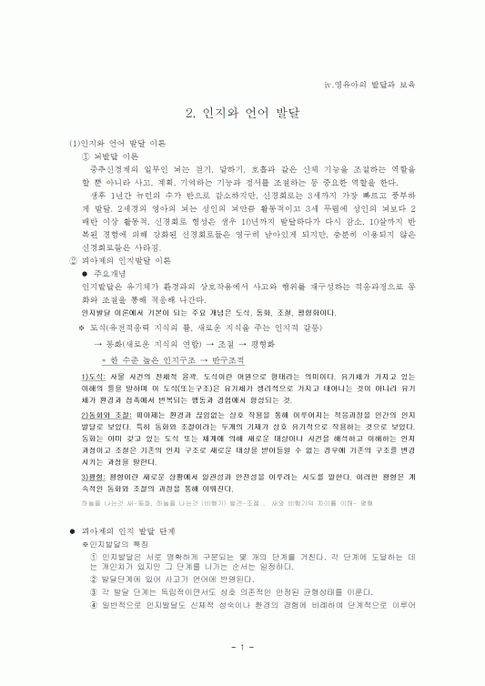 인지와 언어발달
