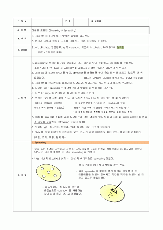 미생물 도말법 (Streaking & Spreading)