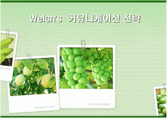 [마케팅]구매력 강화를 위한 웰치스(Welchs) 커뮤니케이션전략