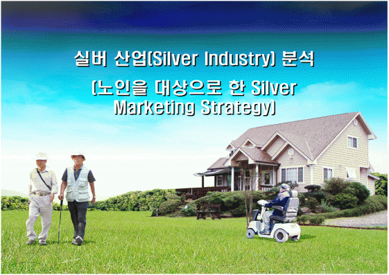 [마케팅조사론]실버산업 현황과 효과적인 마케팅전략 및 향후전망