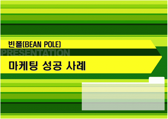 [마케팅원론]빈폴 마케팅전략 및 성공요인 분석