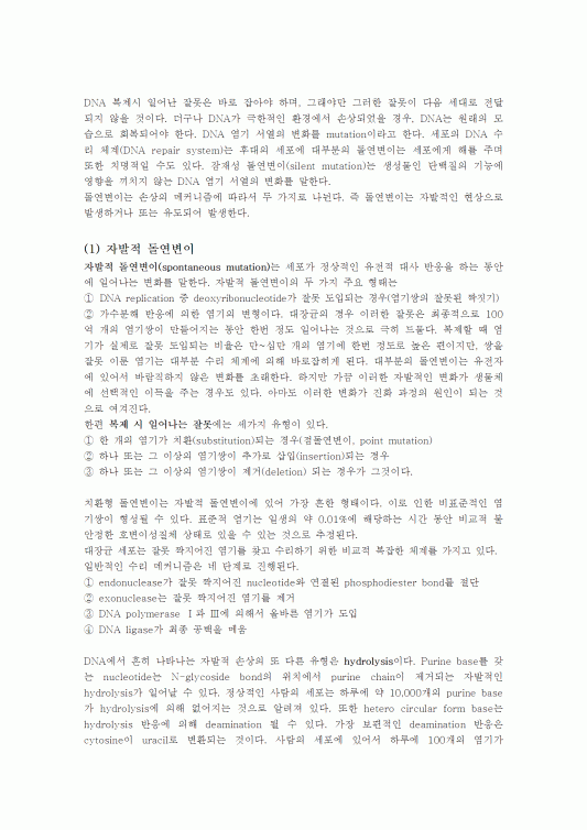DNA 손상과 회복