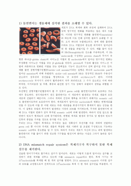 유전자 손상과 회복