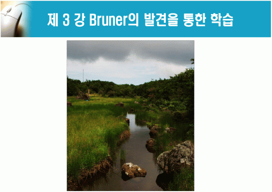Bruner의 발견을 통한 학습1