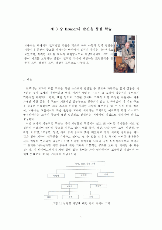 [수학학습심리학]브루너의 발견학습