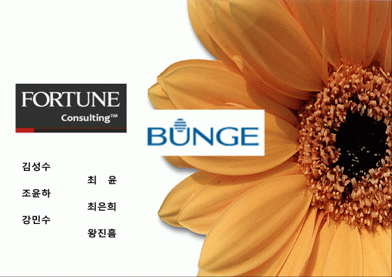 바이오연료 시장과 곡물시장. 그리고 벙기(Bunge)