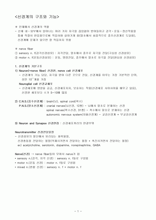 성인 <신경계>